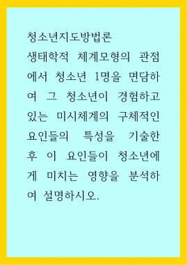 생태학 체계모형 관점 청소년 1명을 면담하여 그 청소년이 경험하고 있는 미시체계의 구체적인 요인들의 특성을 기술한 후 이 요인들이 청소년에게 미치는 영향을 분석하여 설-1페이지