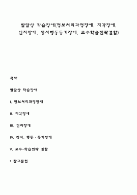 발달상 학습장애(정보처리과정장애, 지각장애, 인지장애, 정서행동동기장애, 교수학습전략결함)-1페이지