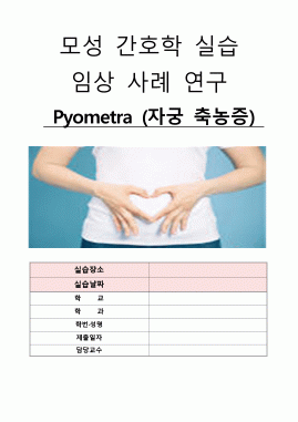 여성간호실습, A+, pyometra, 자궁축농증-1페이지