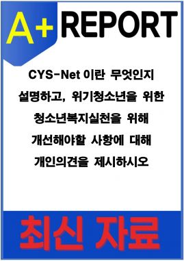CYS-Net이란 무엇인지 설명하고, 위기청소년을 위한 청소년복지실천을 위해 개선해야할 사항에 대해 개인의견을 제시하시오.-1페이지