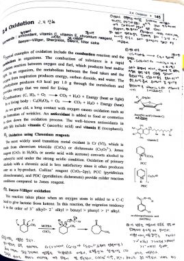 oxidation 실험 레포트-1페이지