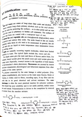 유기및분석화학실험 esterification 레포트-1페이지