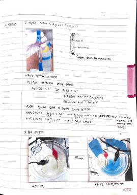 물의 전기분해실험&AgAgCl 기준전극 만드는 방법 결과레포트 + 은 전극을 이용한 은이온의 평형 예비실험레포트-1페이지