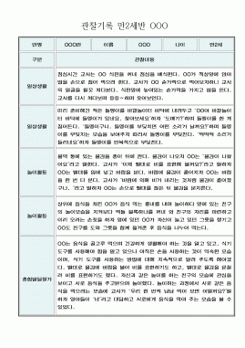 만2세 놀이,일상생활 관찰일지 17명-1페이지