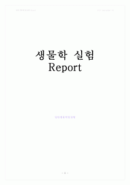 실험 15주차_플라스미드 DNA 분리 결과 Report-1페이지