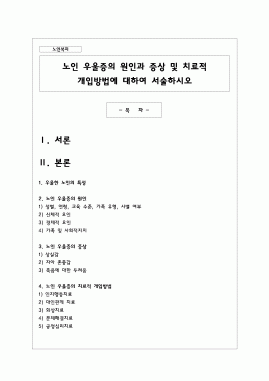 노인 우울증의 원인과 증상 및 치료적 개입방법에 대하여 서술하시오-1페이지