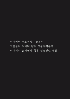 빅데이터 주요특성,기능분석 및 기업들의 빅데이터 활용 성공사례분석과 빅데이터 문제점과 향후 활용방안 제언-1페이지