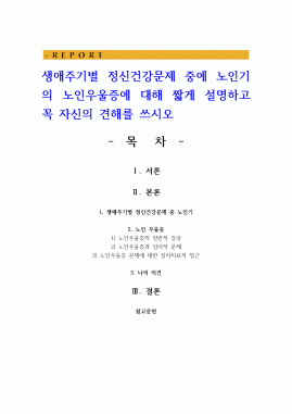 생애주기별 정신건강문제 중에 노인기의 노인우울증에 대해 짧게 설명하고 꼭 자신의 견해를 쓰시오-1페이지