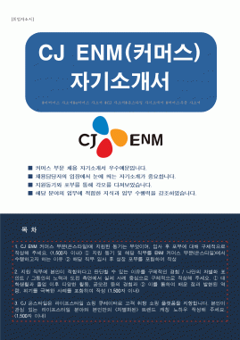 CJ ENM (커머스부문) 자기소개서(온스타일 자소서)-1페이지