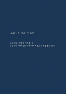 요로감염 간호 케이스 연구 (요로감염 진단과 치료법 및 요로감염 간호사정,간호진단,간호계획,간호수행,평가)-1페이지