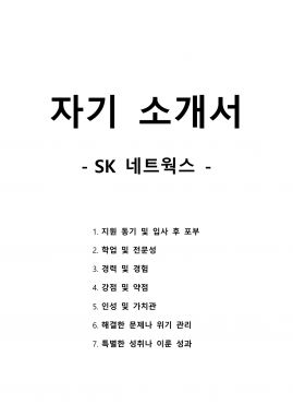 자기 소개서 - SK 네트웍스-1페이지