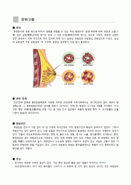 유방암 간호과정-1페이지