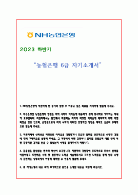 농협은행 6급 자기소개서-1페이지