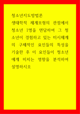 생태학적 체계모형의 관점에서 청소년 1명을 면담하여 그 청소년이 경험하고 있는 미시체계의 구체적인 요인들의 특성을 기술한 후 이 요인들이 청소년에게 미치-1페이지