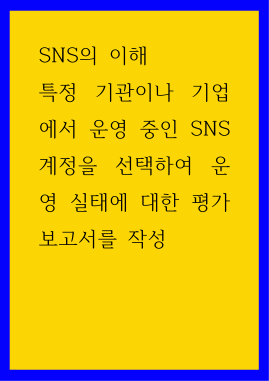 SNS의 이해 특정 기관이나 기업에서 운영 중인 SNS 계정을 선택하여 운영 실태에 대한 평가 보고서를 작성-1페이지