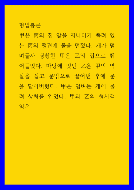 형법총론 甲은 丙의 집 앞을 지나다가 풀려 있는 丙의 맹견에 돌을 던졌다-1페이지