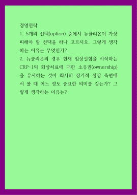 경영전략) 5개의 선택(option) 중에서 뉴클리온이 가장 피해야 할 선택을 하나 고르시오-1페이지