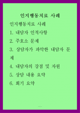 인지행동치료 사례) 내담자 인적사항 주호소 문제 상담자가 파악한 내담자 문제 4-1페이지