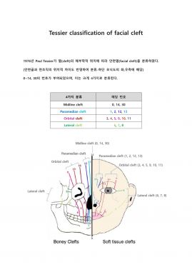 구강외과 레포트(Tessier 분류)-1페이지