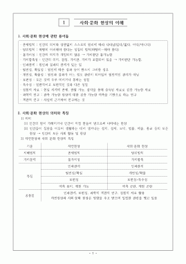 고등학교 사회문화 핵심 요약 정리 및 서브노트-1페이지