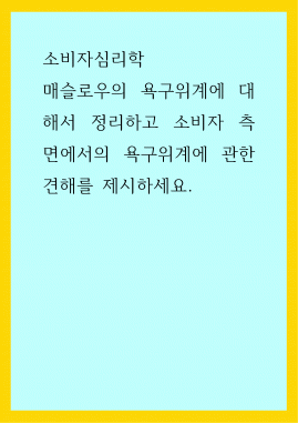 소비자심리학) 매슬로우의 욕구위계에 대해서 정리하고 소비자 측면에서의 욕구위계에 관한 견해를 제시하세요-1페이지