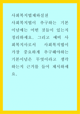 사회복지법제와실천) 사회복지법이 추구하는 기본이념에는 어떤 것들이 있는지 정리하세요-1페이지