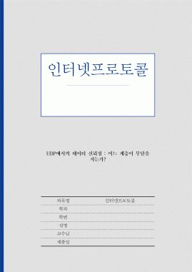 인터넷프로토콜 : UDP에서의 데이터 신뢰성, 어느 계층이 부담을 지는가?-1페이지