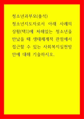 청소년과부모(출석)) 청소년지도자로서 아래 사례의 상황(택1)에 처해있는 청소년을 만났을 때 생태체계적 관점에서 접근할 수 있는 사회복지실천방안에 대해 기술하시오-1페이지