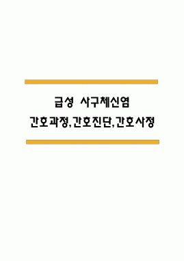 급성 사구체신염 간호과정,간호진단,간호사정 및 급성 사구체신염 정의,발생원인,병태생리 및 급성 사구체신염 치료 및 관리법-1페이지