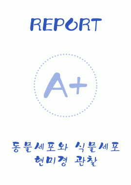 [A+] 동물세포와 식물세포 현미경 관찰 레포트 과제-1페이지