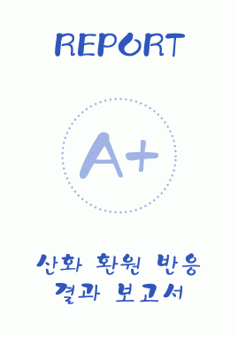 [A+] 산화 환원 반응 결과레포트-1페이지