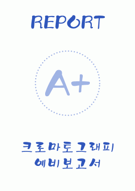 [A+] 크로마토그래피 예비리포트-1페이지