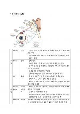 수술실OR 케이스, 백내장수술 , phaco procedure-1페이지