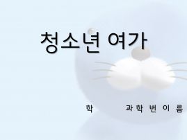 청소년여가 보고서-1페이지