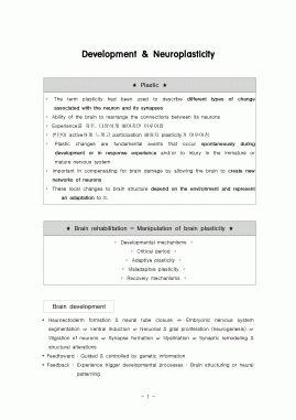 Development & Neuroplasticity-1페이지