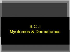 SCI Myotomes & Dermatomes-1페이지