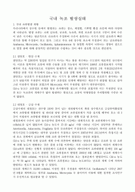 국내 녹조 발생 실태 국내 멸종위기 동식물 및 해결방안-1페이지