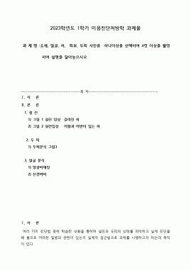 홍채, 얼굴, 혀,  피부, 두피 사진중  하나이상을 선택하여 4컷 이상을 촬영             하여 설명을 달아놓으시오-1페이지