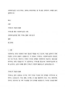 사회복지실천 도구(가계도, 생태도,사회관계망) 중 하나를 선택하여 사례를 들어 설명하시오.-1페이지