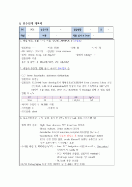 성인간호실습 인수인계 기록지 레포트 (간농양)-1페이지