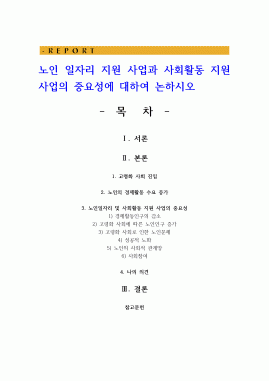 노인 일자리 지원 사업과 사회활동 지원 사업의 중요성에 대하여 논하시오-1페이지