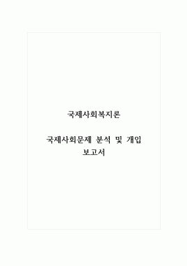 국제사회복지론_국제사회문제 분석 및 개입 보고서-1페이지