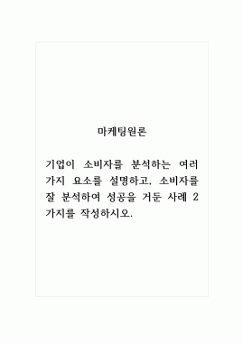 마케팅원론_기업이 소비자를 분석하는 여러 가지 요소를 설명하고, 소비자를 잘 분석하여 성공을 거둔 사례 2가지를 작성하시오-1페이지