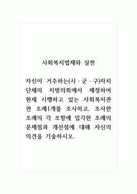 사회복지법제와실천_자신이 거주하는(시ㆍ군ㆍ구)자치단체의 지방의회에서 제정하여 현재 시행하고 있는 사회복지관련 조례1개를 조사하고, 조사한 조례의 각 조항에 입각한 조례의 문제점과 개선점에 대해 자신의 의견을 기술하시오-1페이지