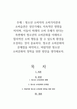 청소년 소비자의 소비가치관과 소비습관은 성인기에도 지속적인 영향을 미치며, 이들이 미래의 소비 주체가 된다는 측면에서 청소년의 소비문화를 이해하고 합리적인 소비 행동을 할 수 있도록 환경을 조성하는 것이 중요하다-1페이지