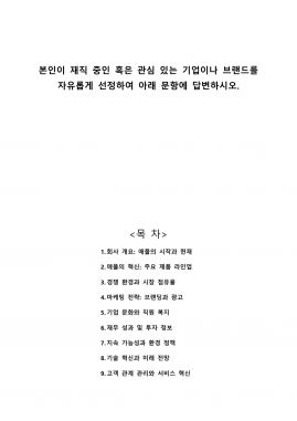 본인이 재직 중인 혹은 관심 있는 기업이나 브랜드를 자유롭게 선정하여 아래 문항에 답변하시오.-1페이지