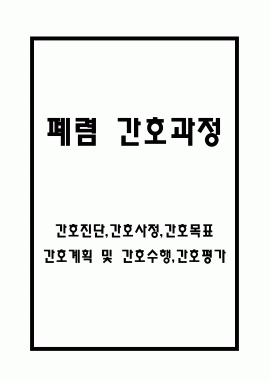 폐렴 간호과정 케이스 (간호진단,간호사정,간호목표,간호계획 및 간호수행,간호평가) 및 폐렴 증상과 발생원인,병태생리 및 폐렴 진단과 치료법 연구-1페이지