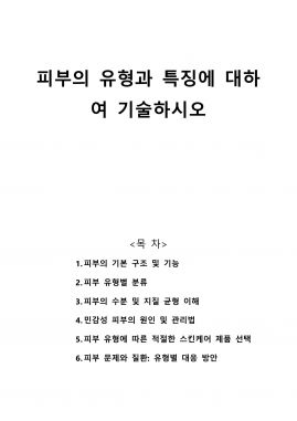 피부의 유형과 특징에 대하여 기술하시오-1페이지