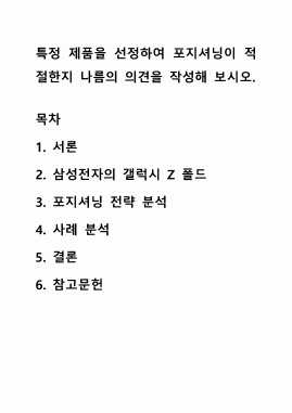 특정 제품을 선정하여 포지셔닝이 적절한지 나름의 의견을 작성해 보시오.-1페이지