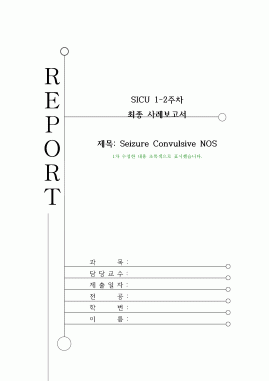 A+ 간호과정보고서_발작_뇌내출혈_진단6개-1페이지